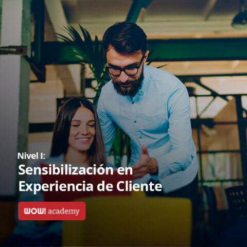 Nivel I, II, III - WOW! Academy - WOW! Academy