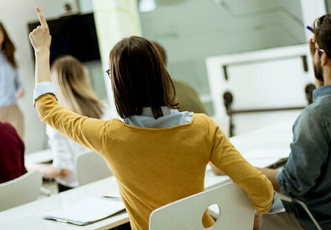 WOW! Academy - WOW! Academy